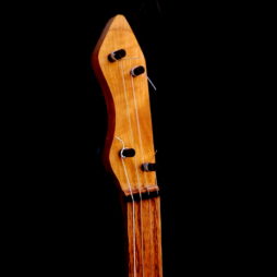 Home - Gourd Banjos by Barry