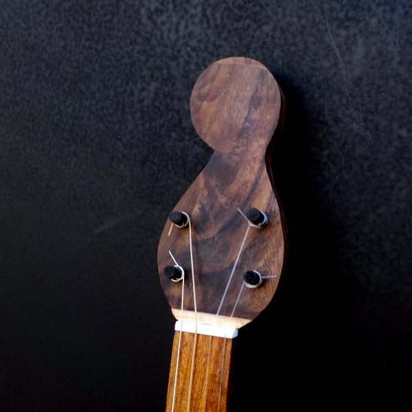 Home - Gourd Banjos by Barry