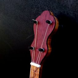 Home - Gourd Banjos by Barry