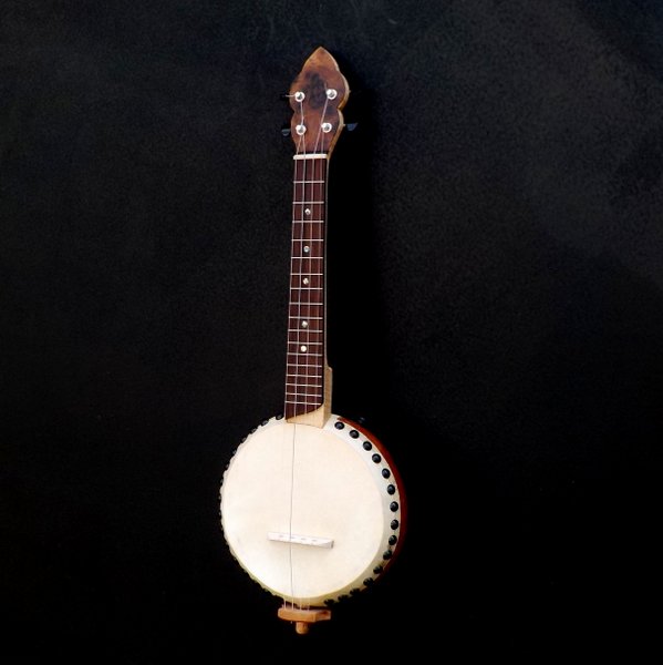 Home - Gourd Banjos by Barry