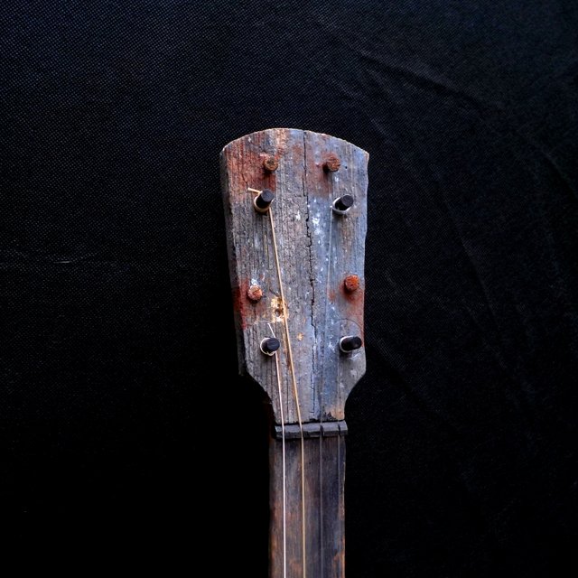 Home - Gourd Banjos by Barry