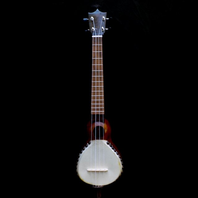 Home - Gourd Banjos by Barry