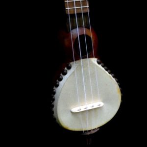 Home - Gourd Banjos by Barry