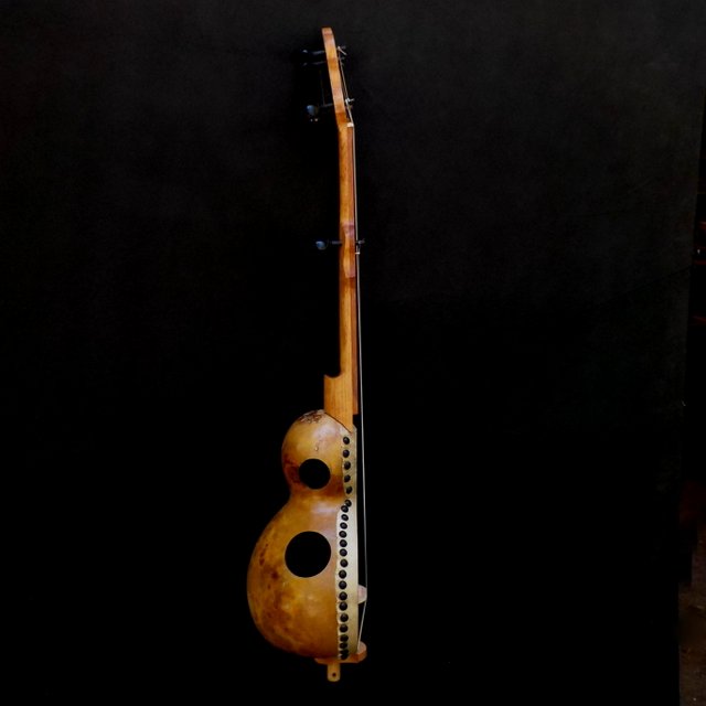 Home - Gourd Banjos by Barry