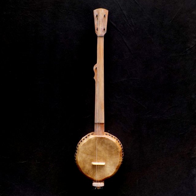 Banjos Archives - Gourd Banjos by Barry