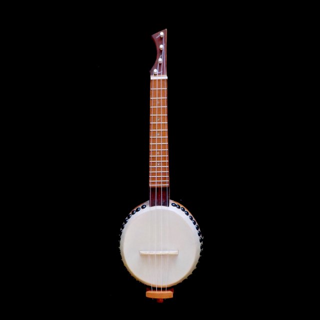 Home - Gourd Banjos by Barry