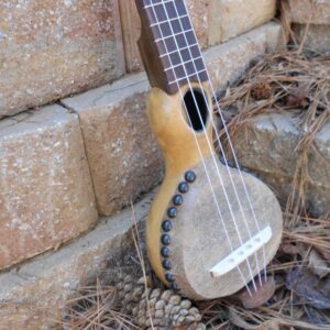 Home - Gourd Banjos by Barry